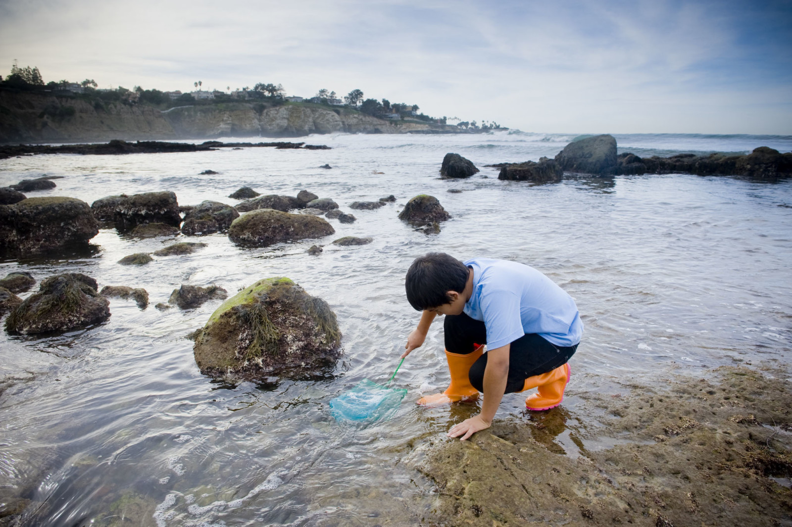 Programs – Ocean Discovery Institute