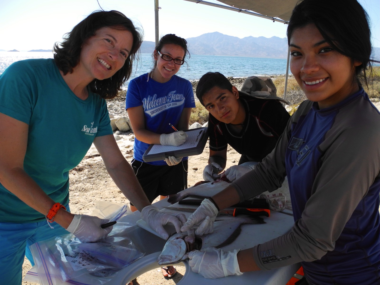 Science Mentor – Ocean Discovery Institute